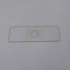 Enterobius vermicularis ova whole mount, natural color, human pinworm ...